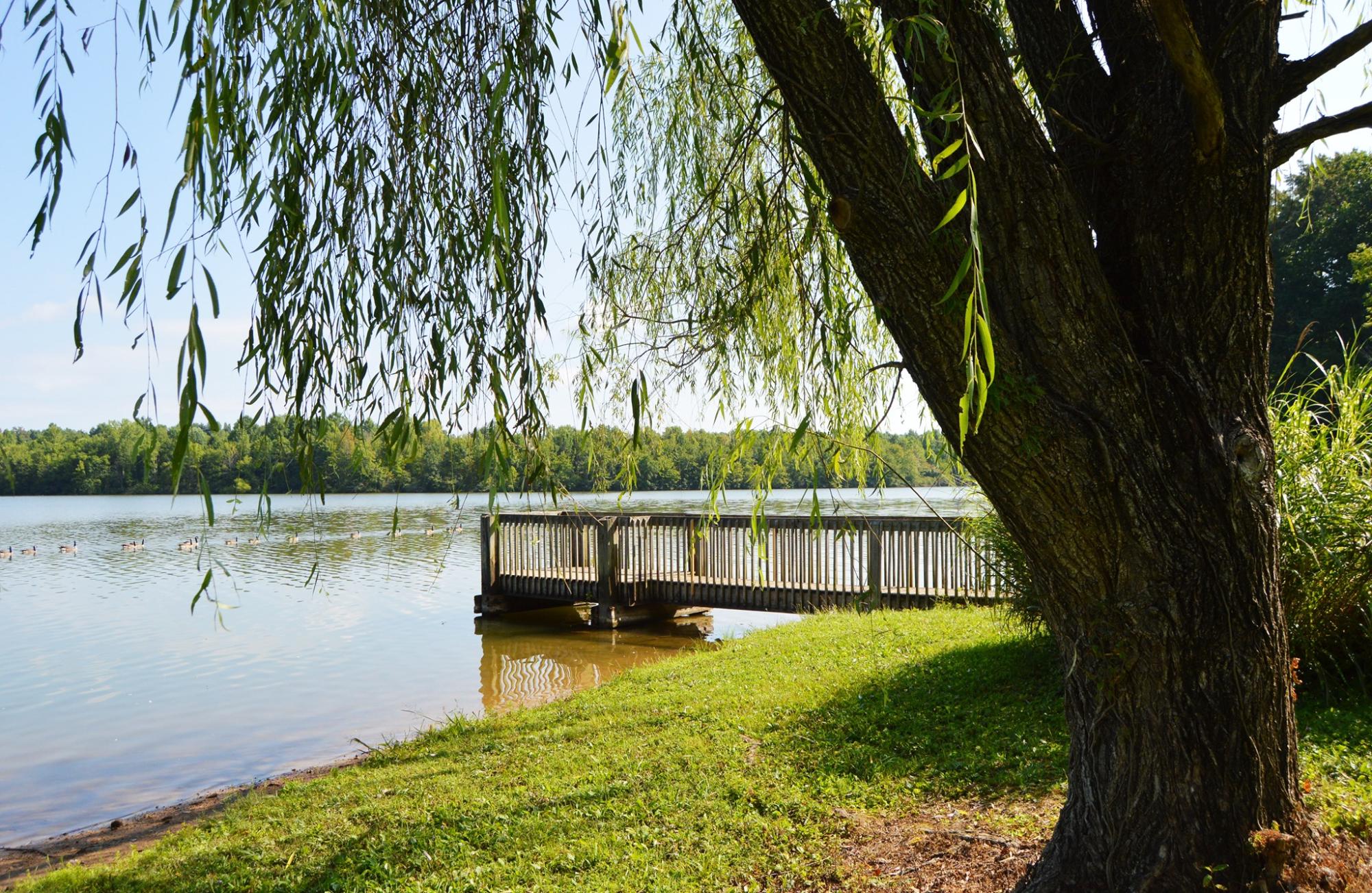 13 cities receive TDEC parks and recreation grants | Tennessee Town & City - Tennessee Municipal ...