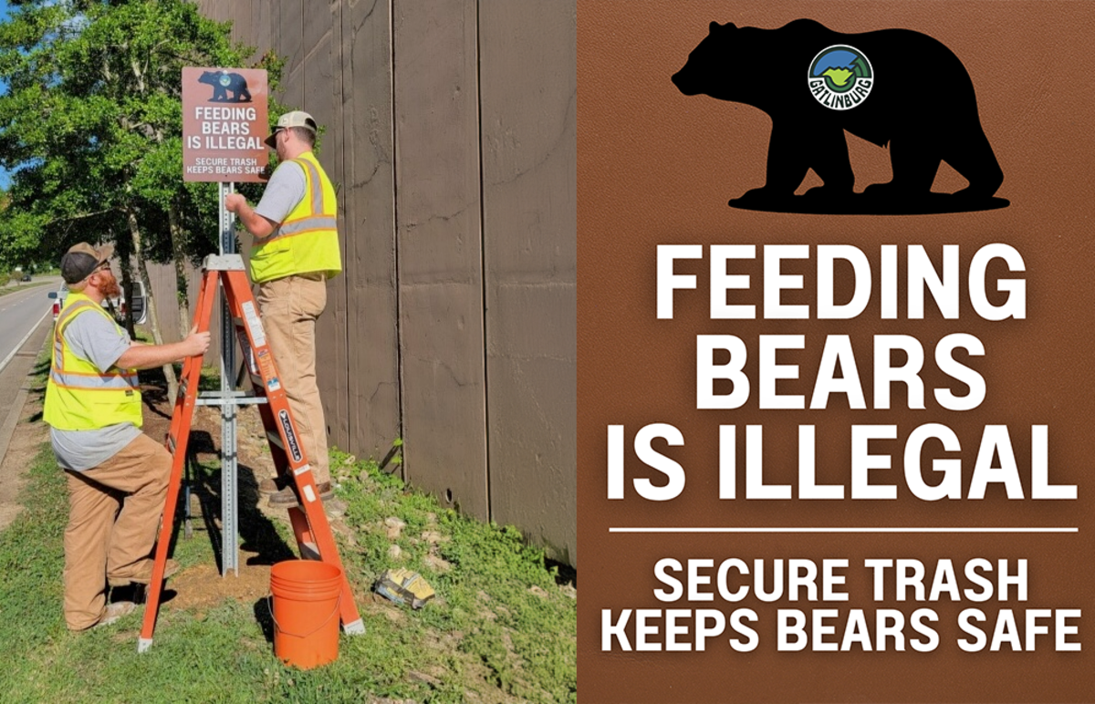 Gatlinburg receives Municipal League award for Excellence in Municipal ...