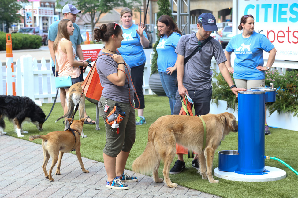 Tennessee-based pet care company seeks to make Better Cities for Pets | Tennessee Town & City ...
